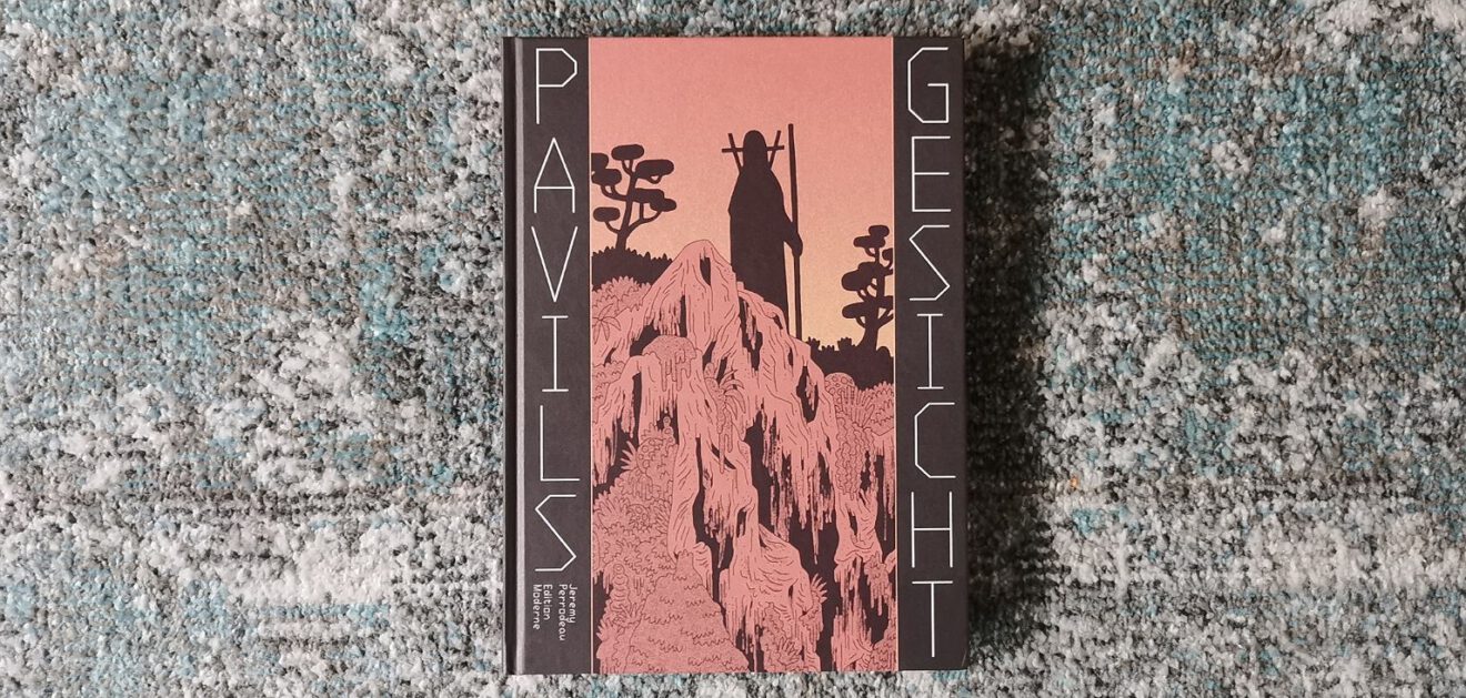 Pavils Gesicht +Rezension+ - Nerd mit Nadel